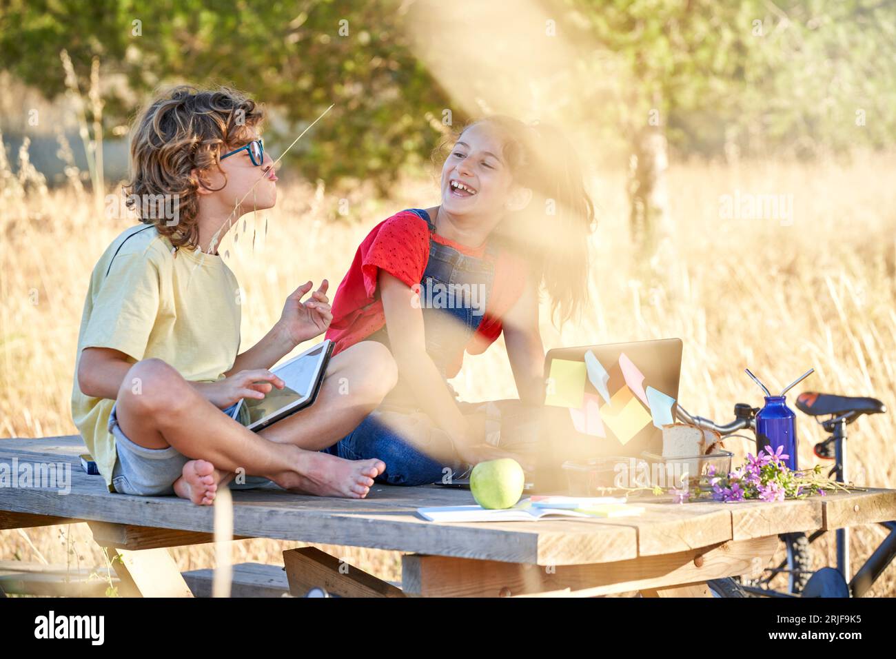 Full body of laughing boy and girl having fun while sitting on wooden ...