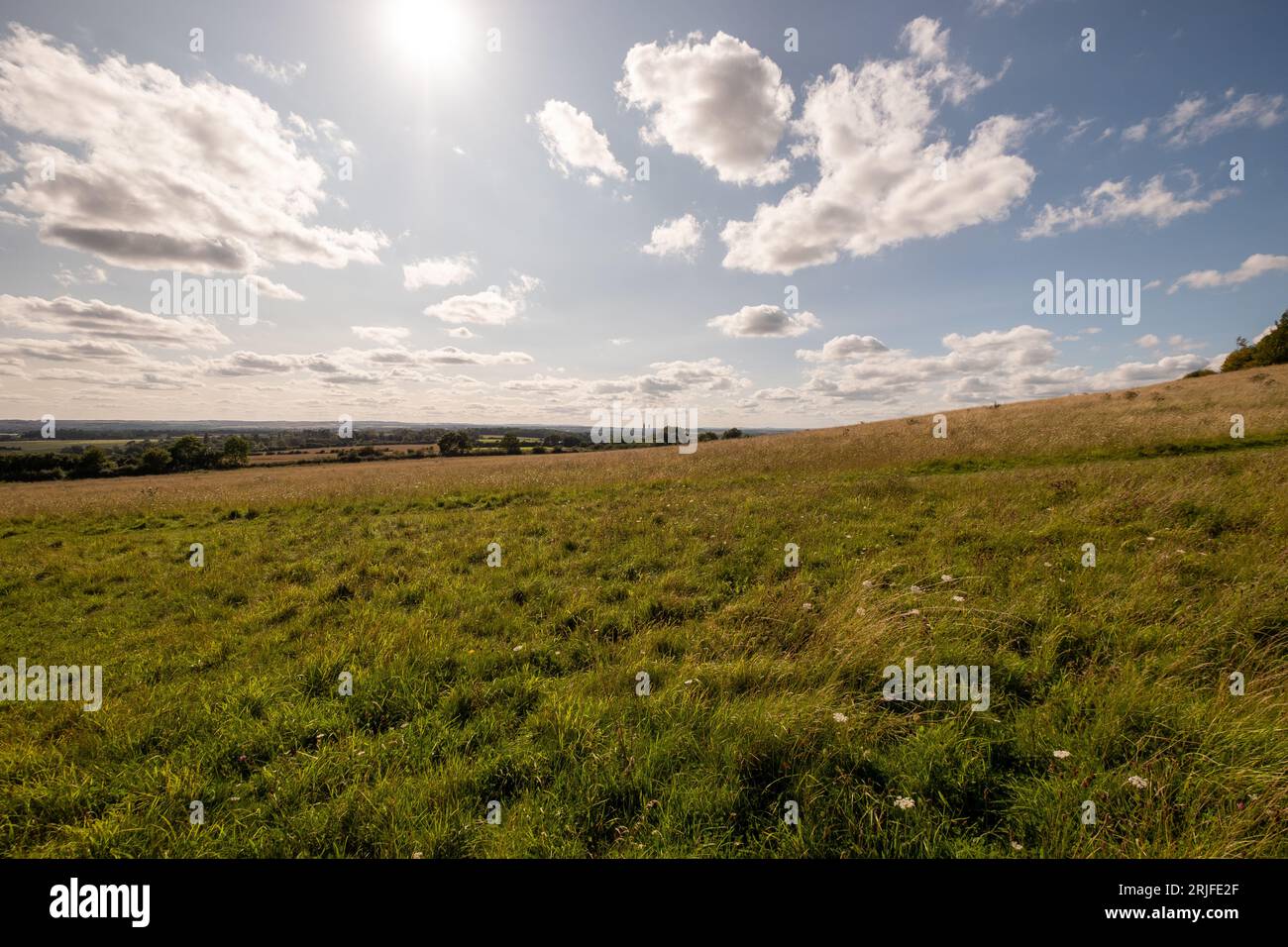 Wittenham Clumps, Oxfordshire Stock Photo - Alamy