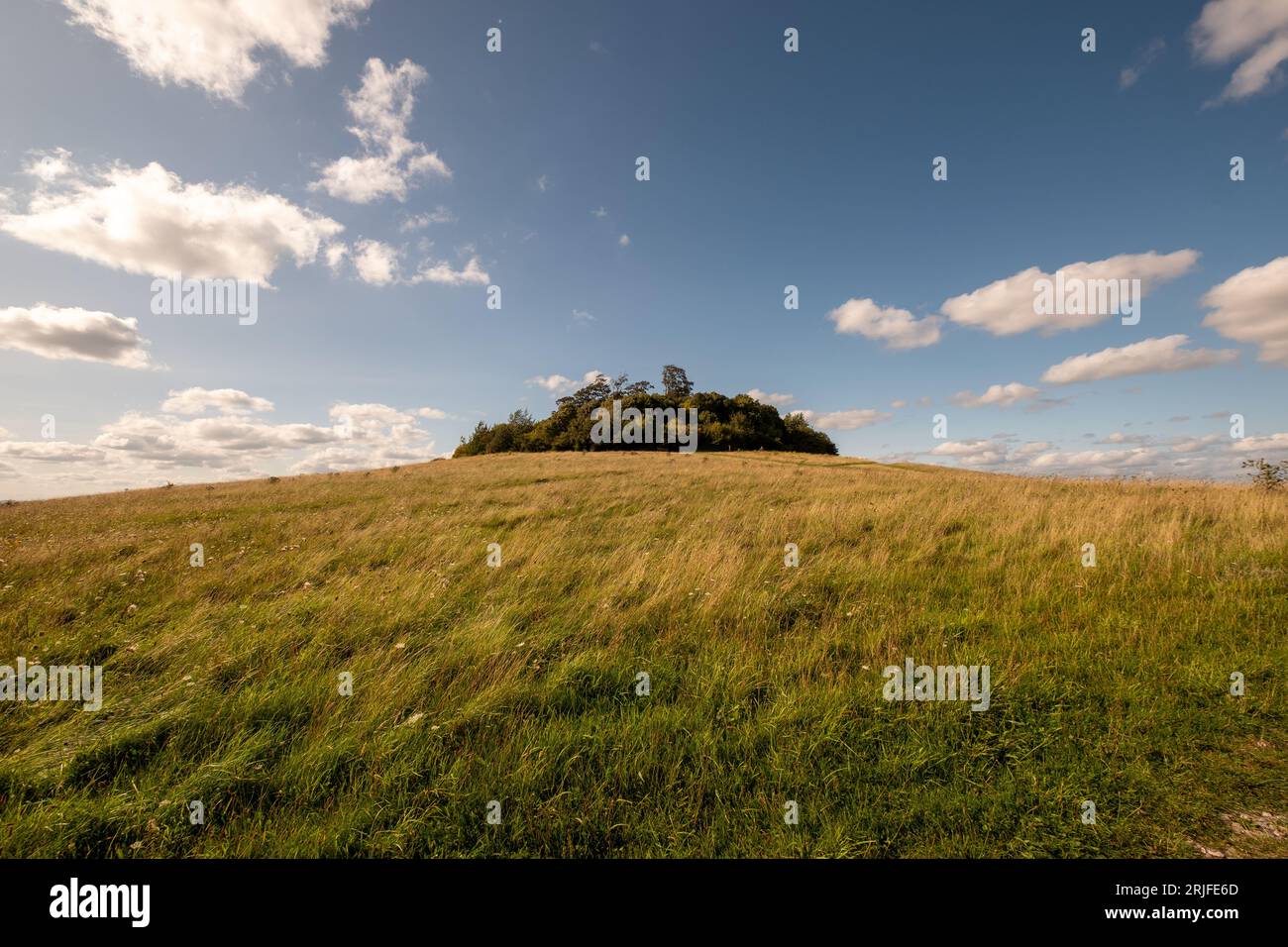 Wittenham clumps thames hi-res stock photography and images - Alamy