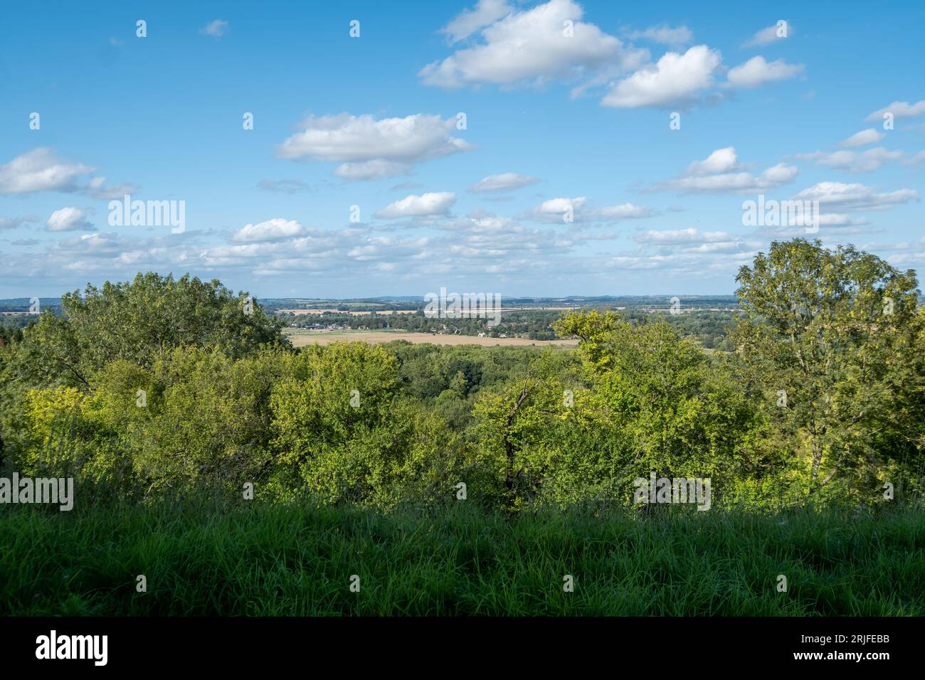 Wittenham Clumps, Oxfordshire Stock Photo - Alamy