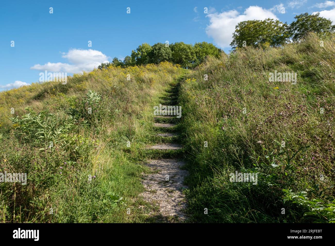 Wittenham Clumps, Oxfordshire Stock Photo - Alamy