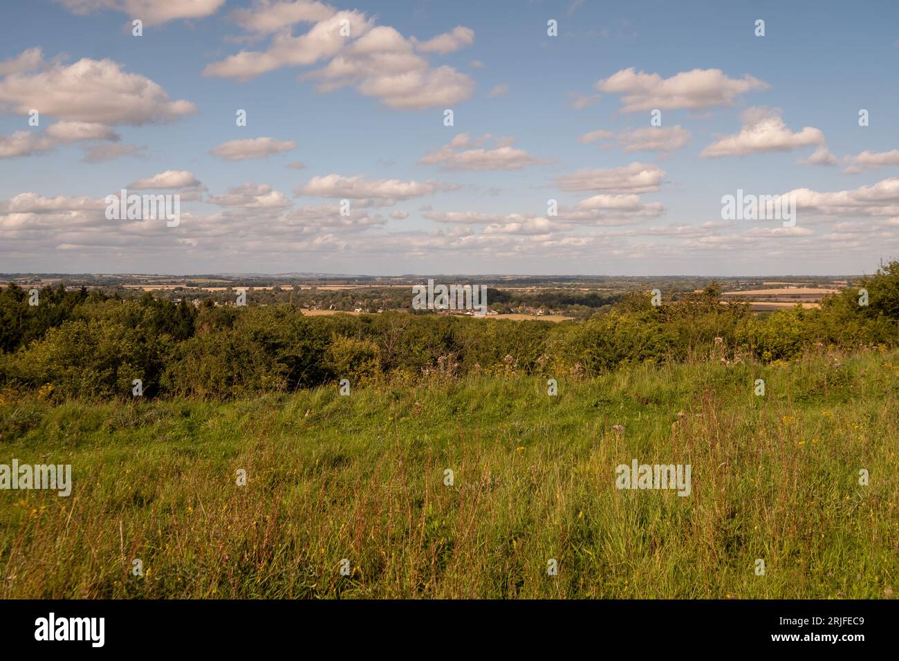 Wittenham Clumps, Oxfordshire Stock Photo - Alamy