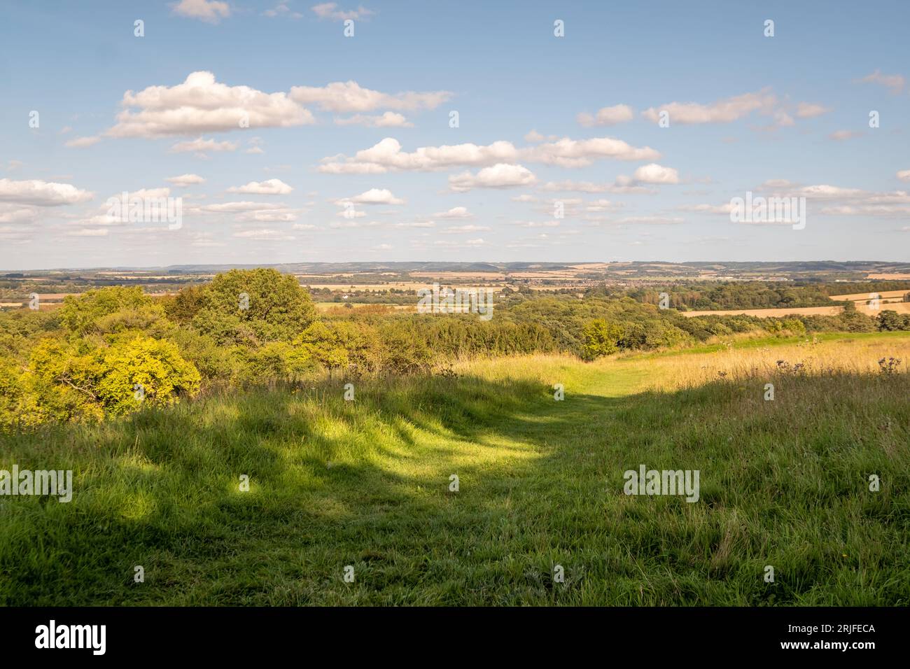 Wittenham Clumps, Oxfordshire Stock Photo - Alamy