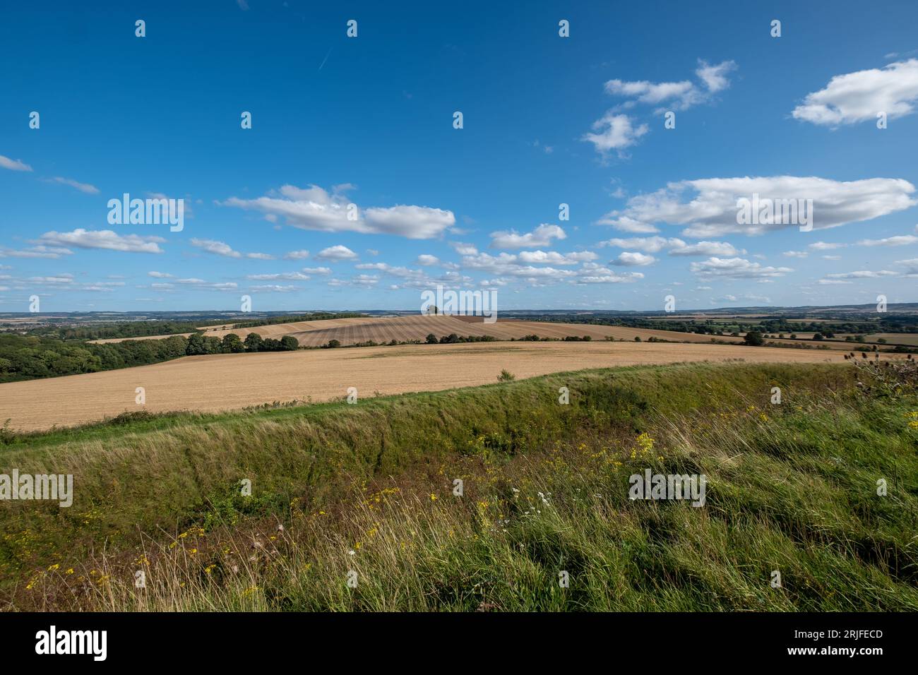 Wittenham Clumps, Oxfordshire Stock Photo - Alamy