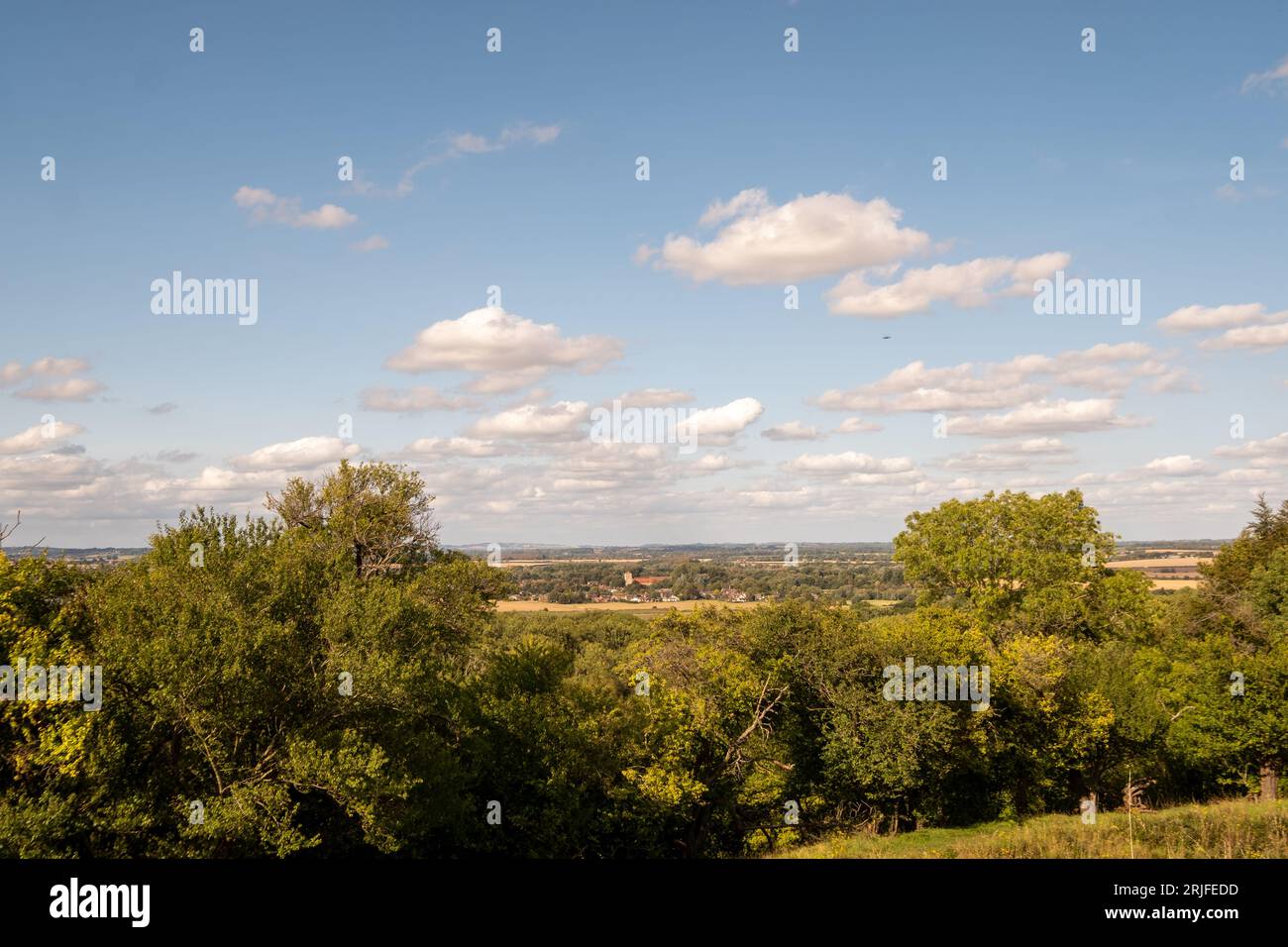 Wittenham Clumps, Oxfordshire Stock Photo - Alamy