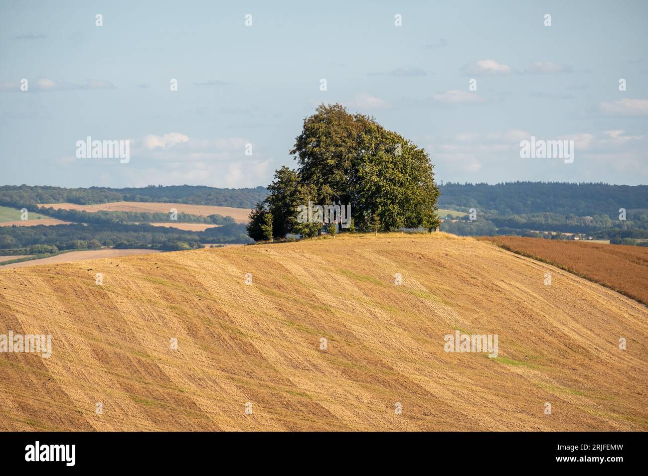 Wittenham Clumps, Oxfordshire Stock Photo - Alamy