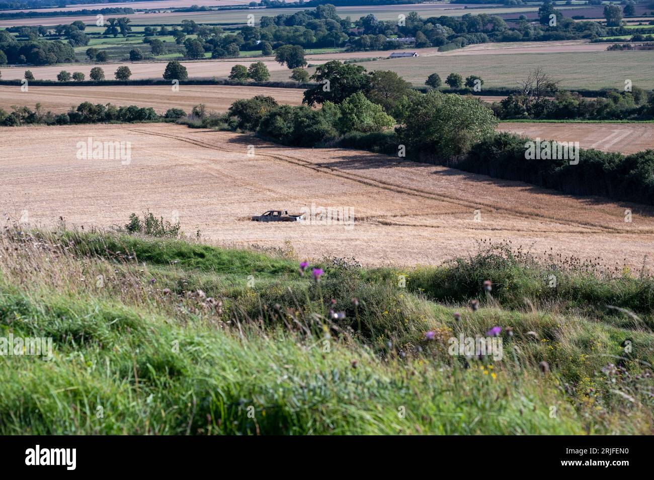 Thames meadows wittenham hi-res stock photography and images - Alamy