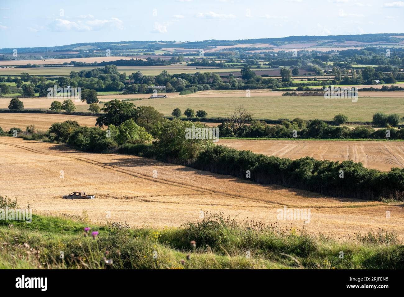 Thames meadows wittenham hi-res stock photography and images - Alamy