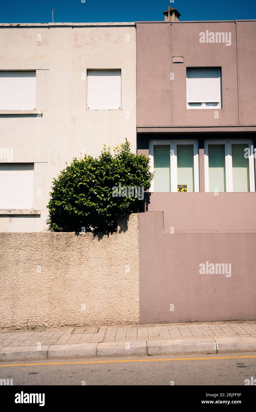 Dull green background hi-res stock photography and images - Alamy