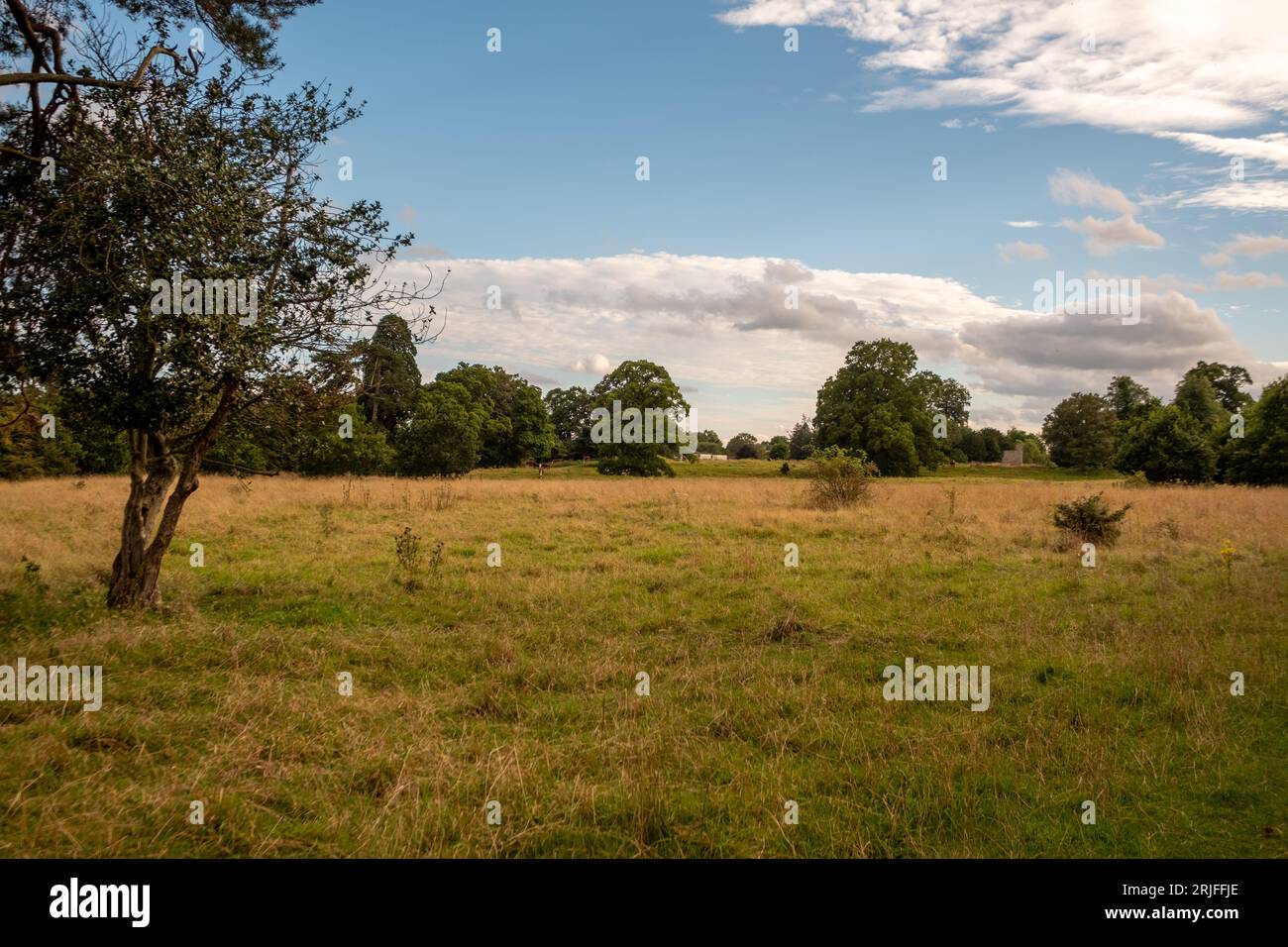 Castle Meadows, Wallingford Stock Photo - Alamy