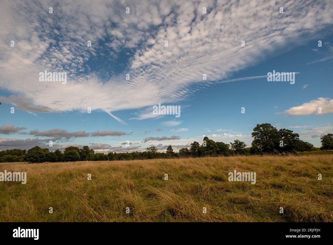 Wallingford castle thames hi-res stock photography and images - Alamy