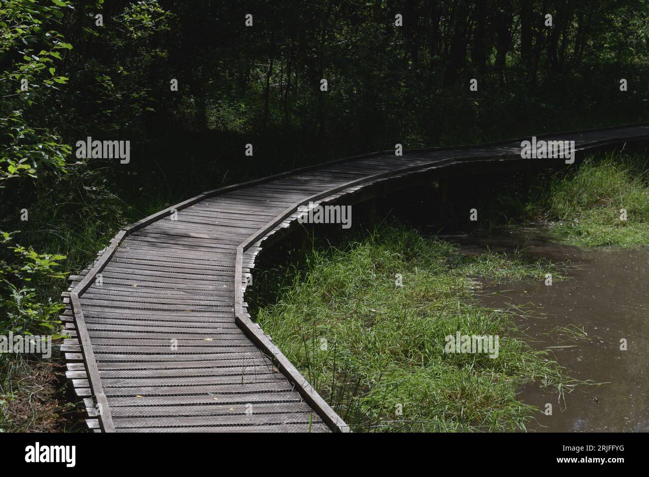 wooden rustic bridge walk way over lake forest shadow trees perspective ...