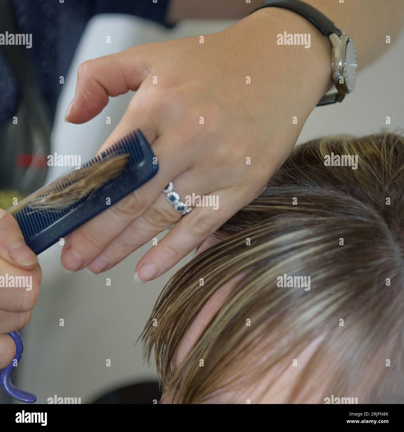 A fragment of trimming bangs. The process of a female haircut. Close-up ...
