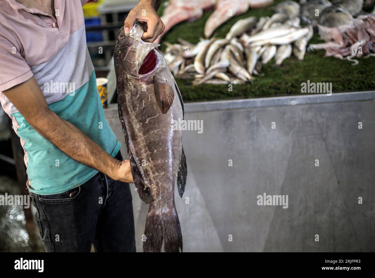 A Palestinian fisherman displays fish in the central fish market called ...