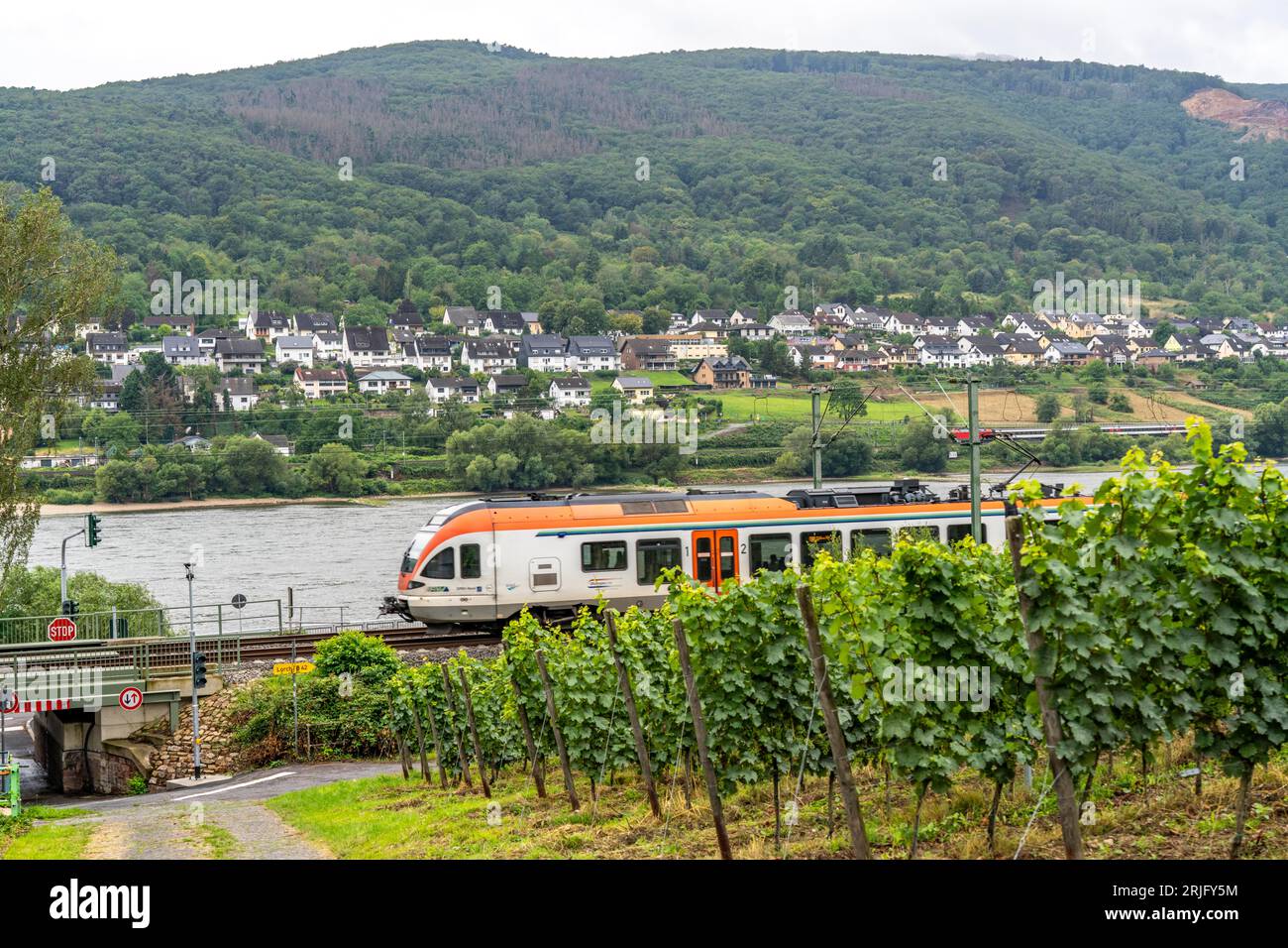Upper Middle Rhine Valley, railway line on the right bank of the Rhine ...