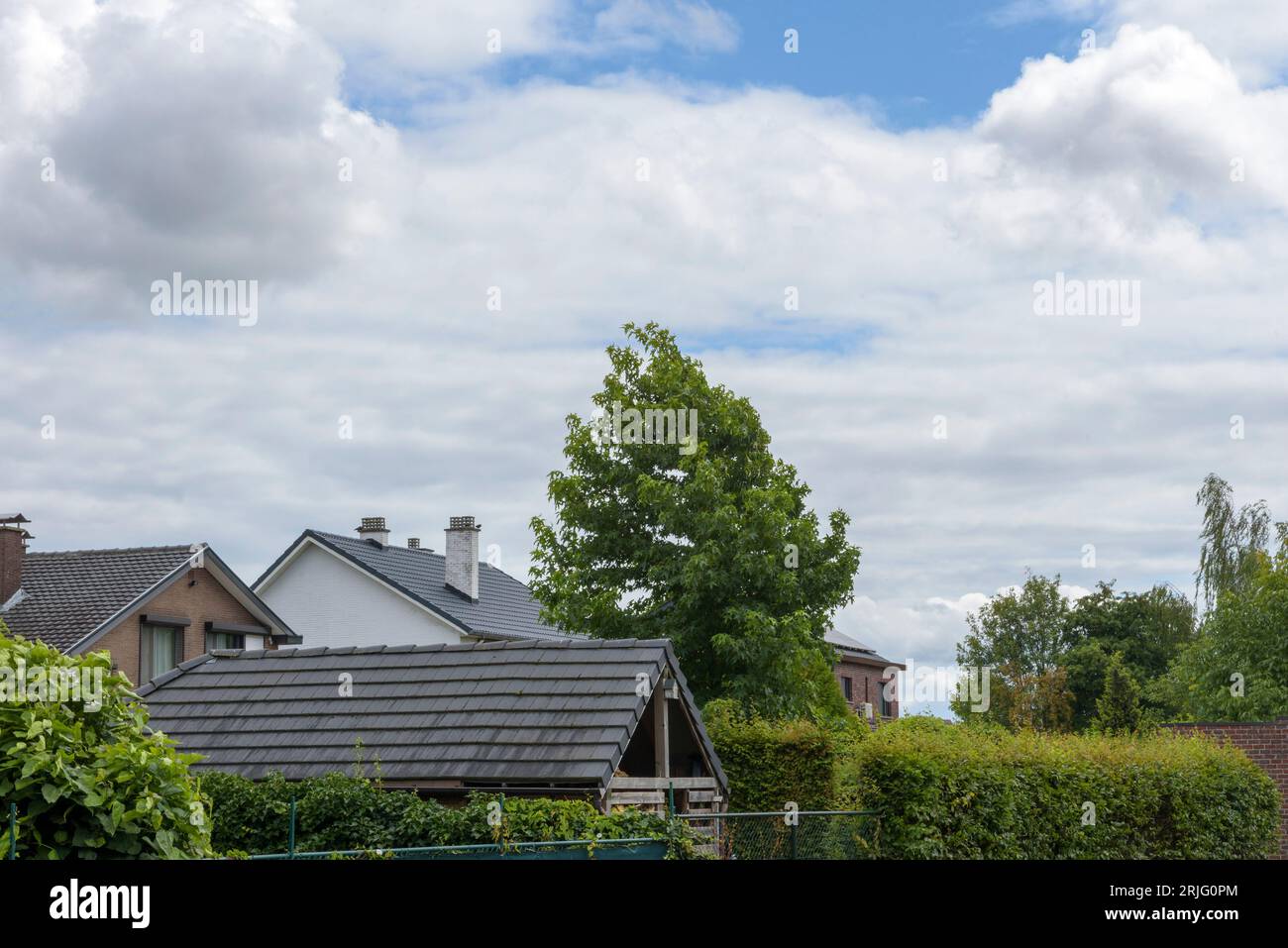 Bending trees hi-res stock photography and images - Alamy