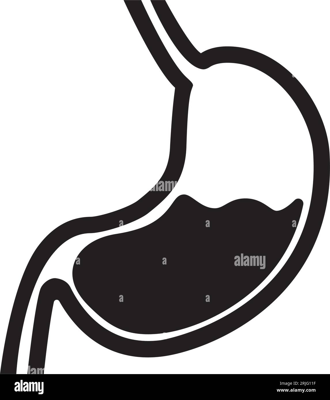 Human stomach icon Stock Vector Image & Art - Alamy