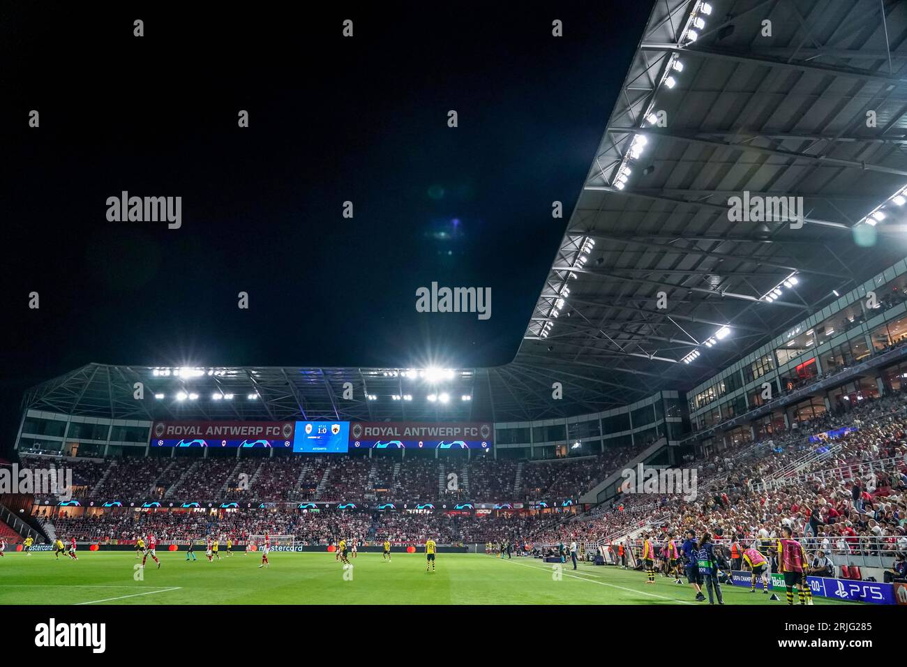 Bosuilstadion view hi-res stock photography and images - Alamy