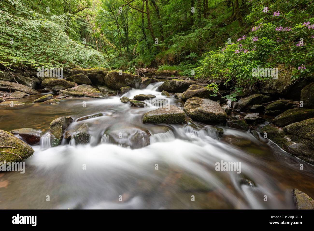 Long exposure of a waterfall on the East Lyn river flowing through the ...