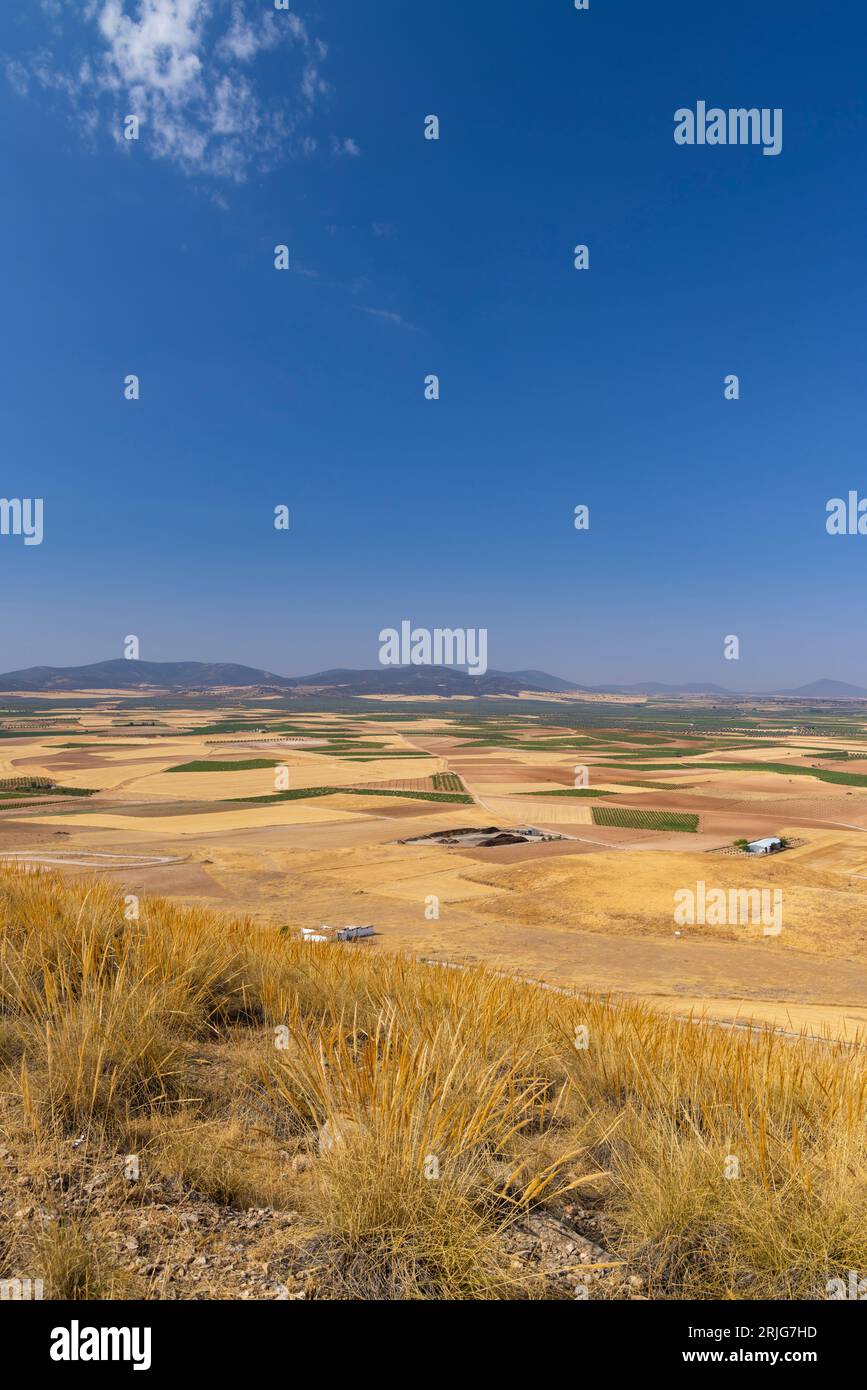 Wheat field castilla la spain hi-res stock photography and images - Alamy