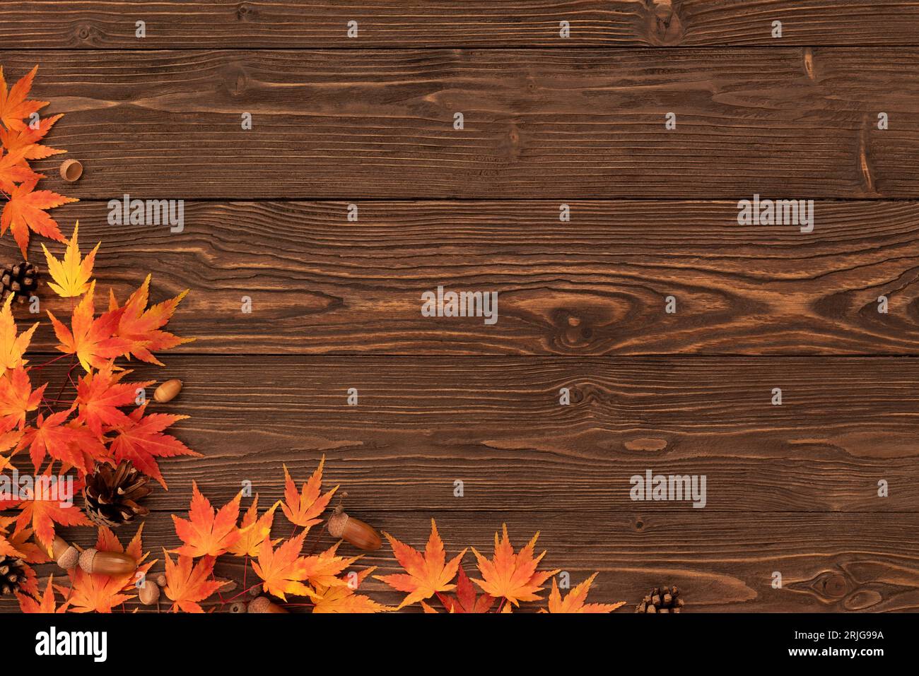 Border foliage hi-res stock photography and images - Alamy