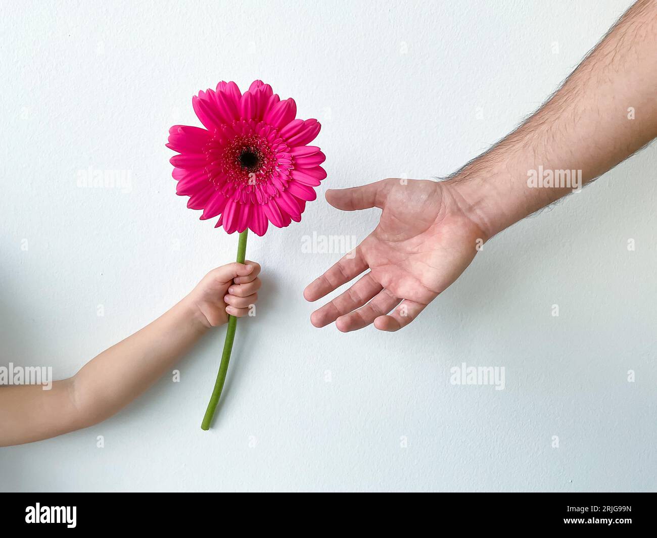 Father giving flowers to daughter hi-res stock photography and images ...