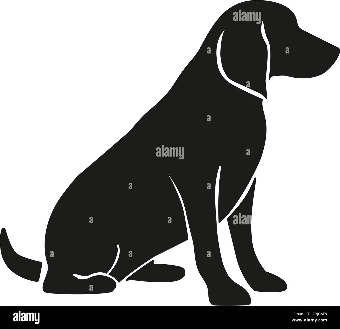 Business Balls Induction at Kaitlyn Corkill blog