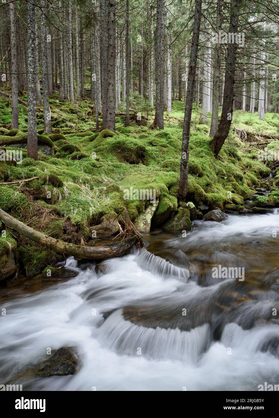 Forest river cascade hi-res stock photography and images - Alamy