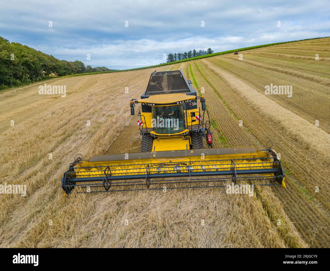 Harvesting spring barley at Howe Strand, Kilbrittain, Co. Cork, August ...