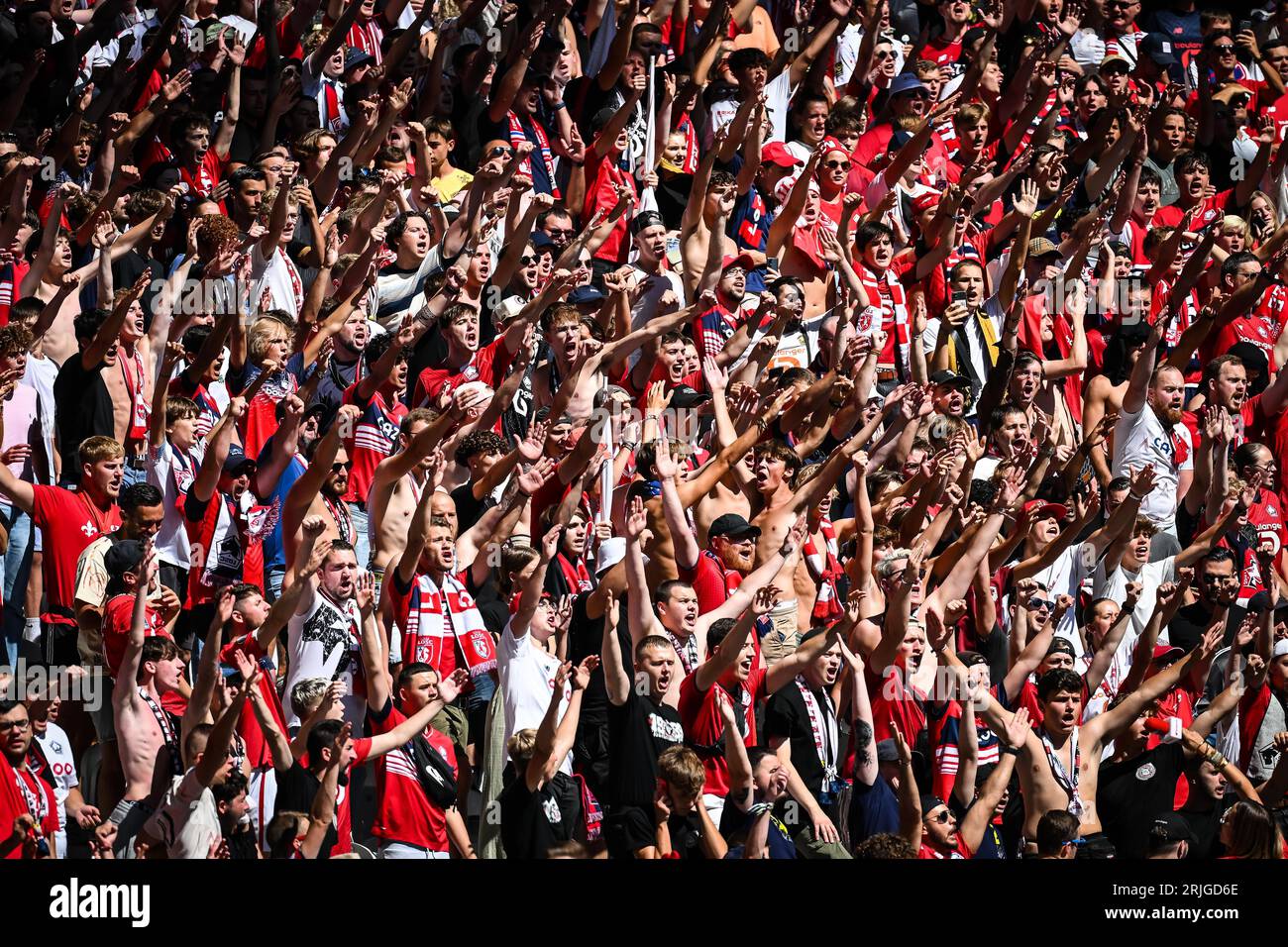 Losc lille supporters hi-res stock photography and images - Alamy