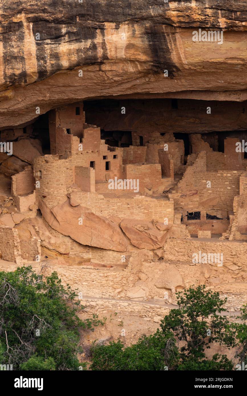 Cliff Palace in alcove at Chapin Mesa, view from Mesa Top Loop, Sun ...