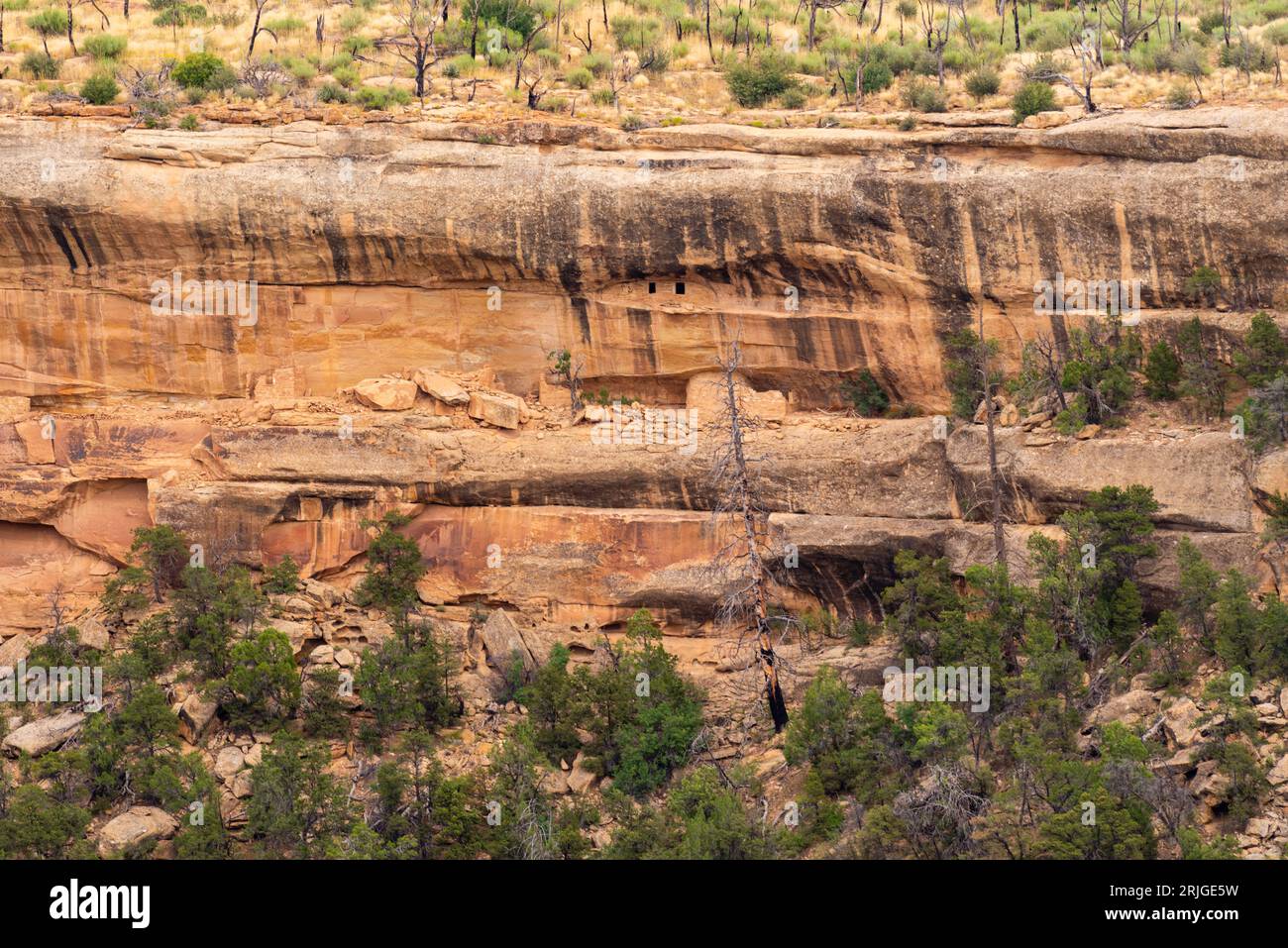 Cliff dwelling in alcove at Chapin Mesa, Mesa Verde National Park ...