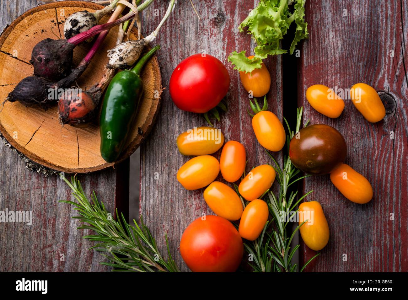 Chilli farming hi-res stock photography and images - Alamy