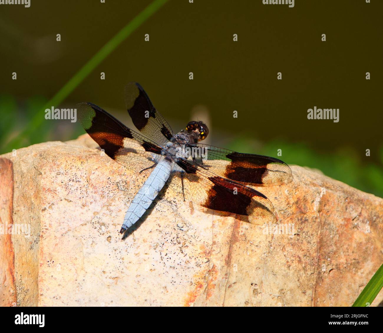 Natural pose atop hi-res stock photography and images - Alamy