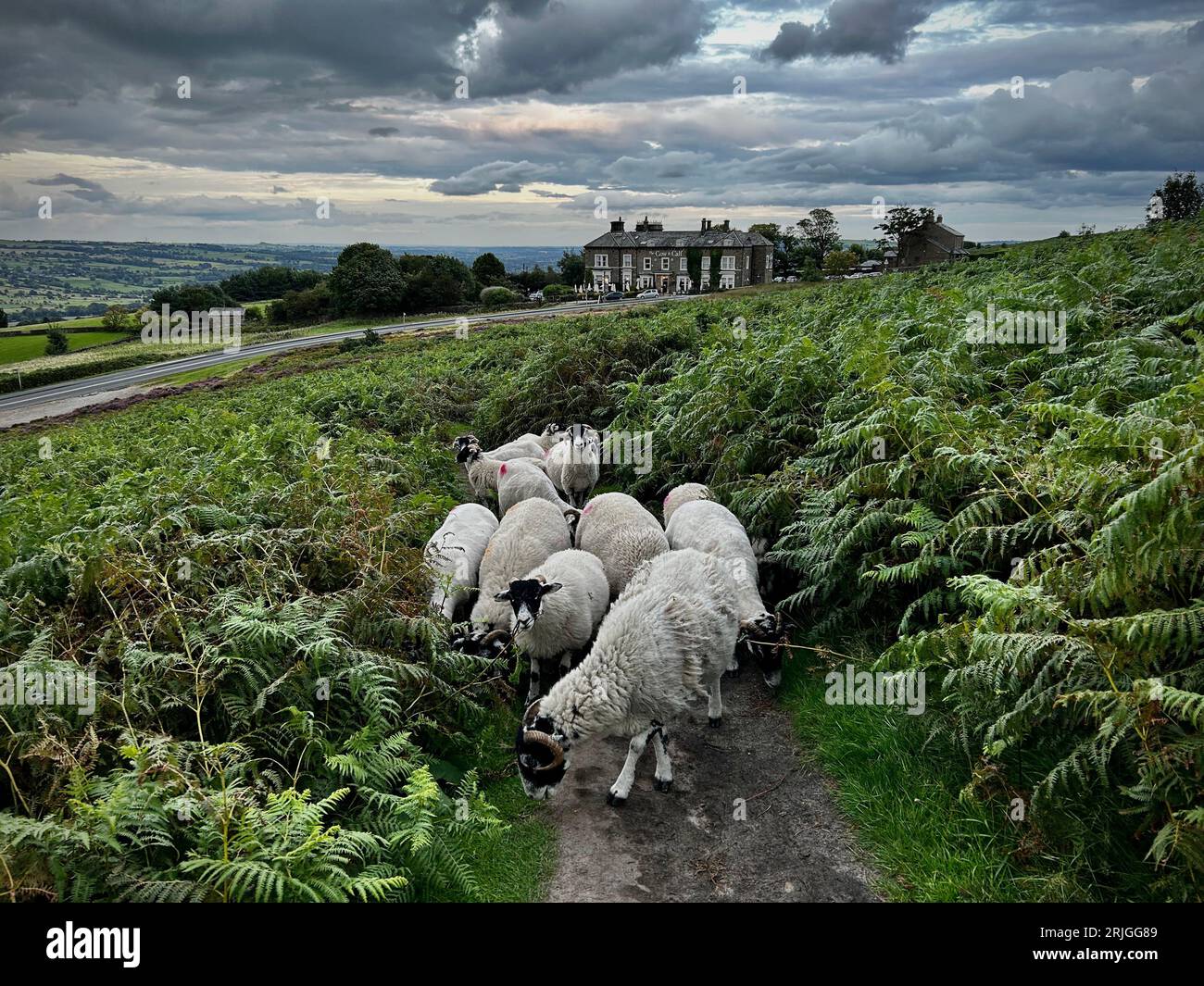 Cow & Calf Rocks Stock Photo - Alamy