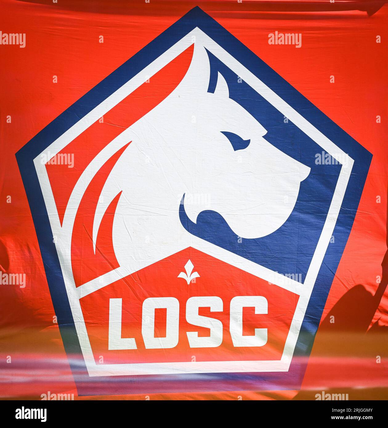 Illustration of the official flag of Lille during the French ...