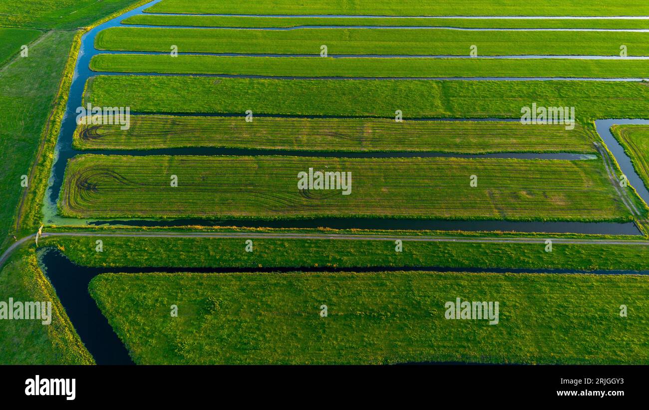 Holland meadows hi-res stock photography and images - Alamy