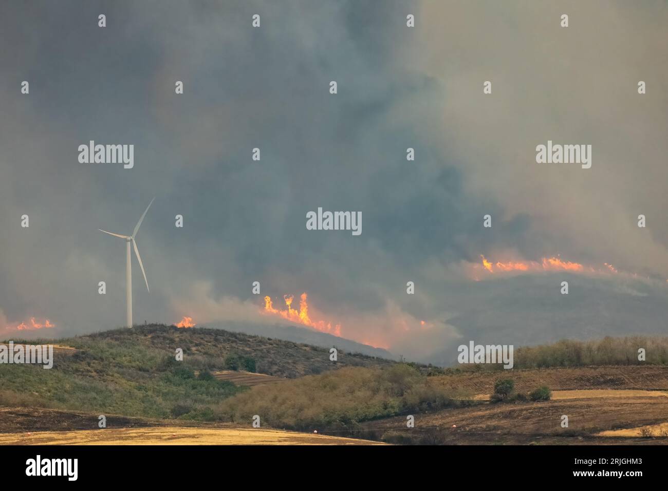 Devastating wildfire in Alexandroupolis Evros Greece, ecological and ...