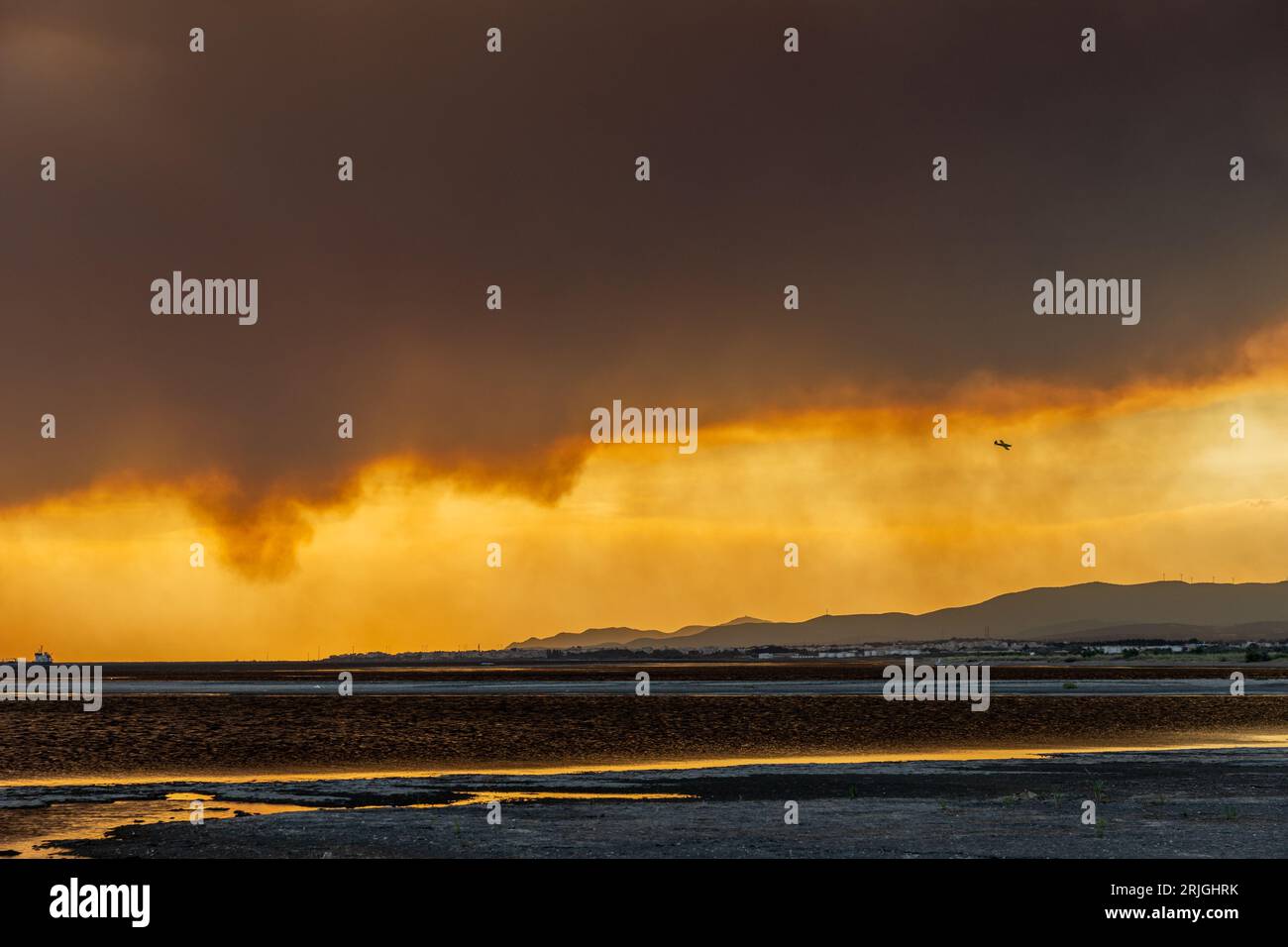 Devastating wildfire in Alexandroupolis Evros Greece, ecological and ...