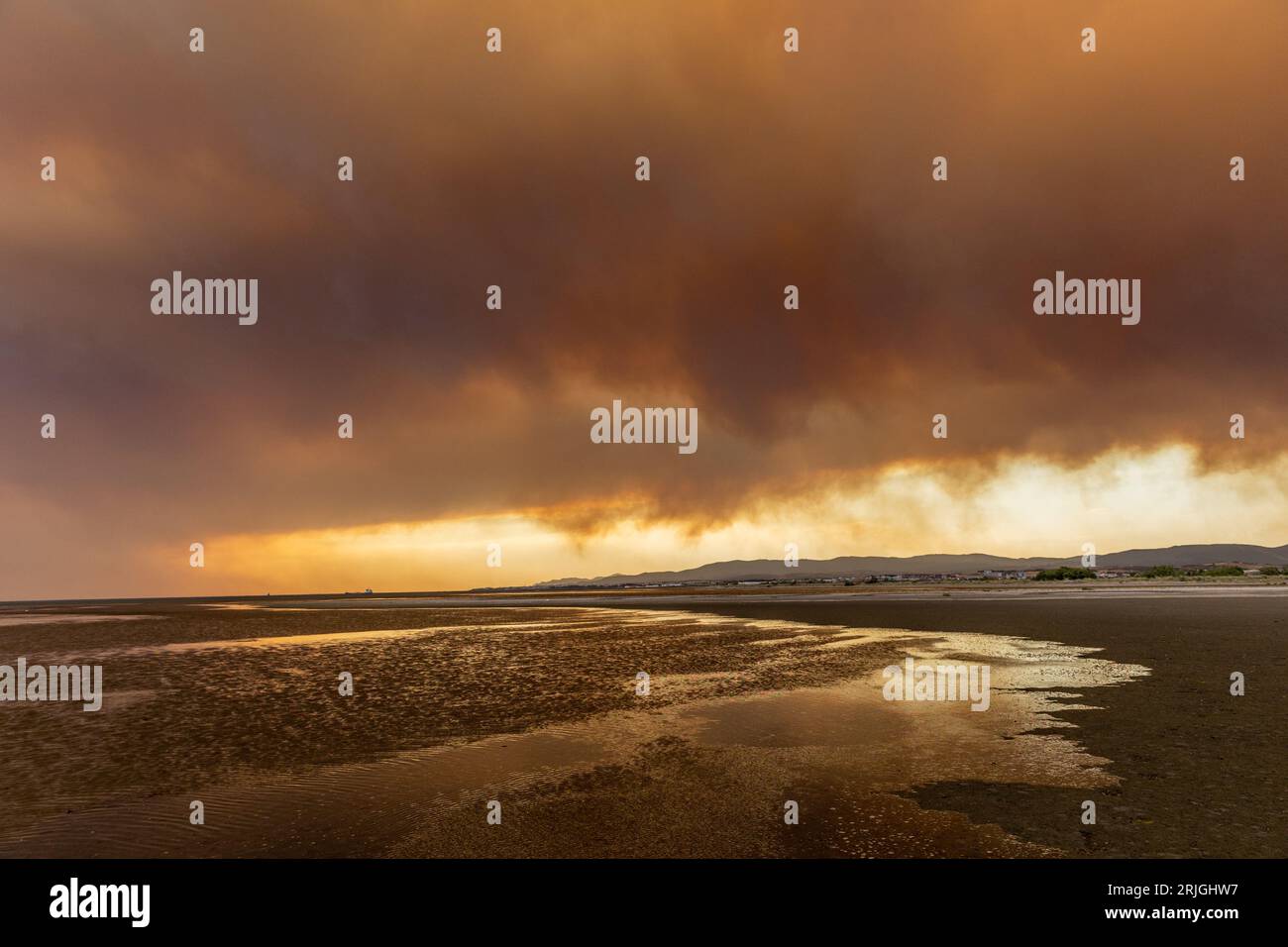 Devastating wildfire in Alexandroupolis Evros Greece, ecological and ...