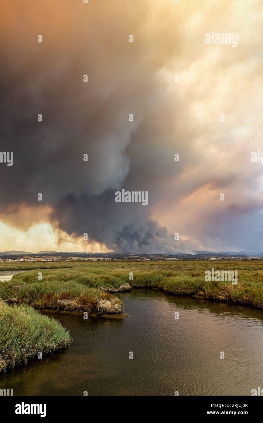 Devastating wildfire in Alexandroupolis Evros Greece, ecological and ...