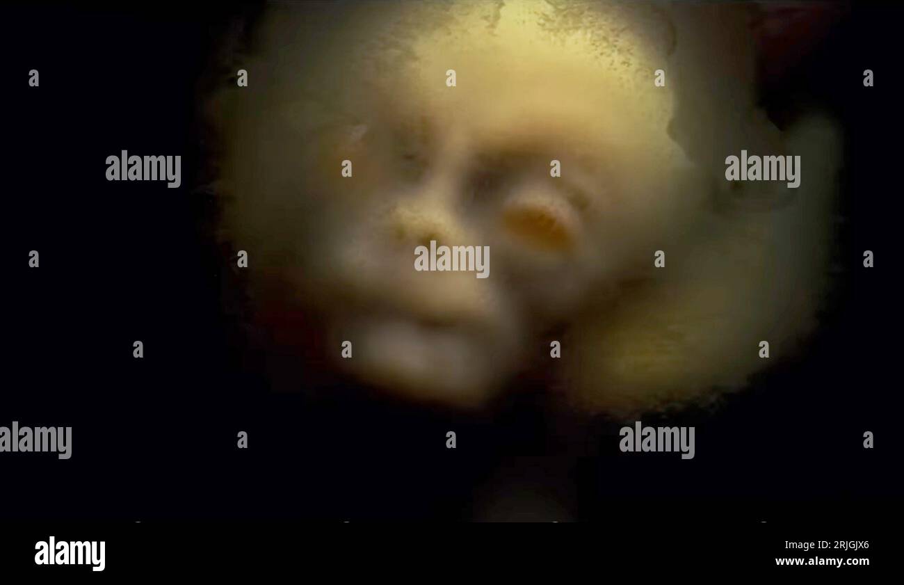 NIGHTMARE, (aka MARERITTET), 2022. © Nordisk Film / courtesy Everett ...