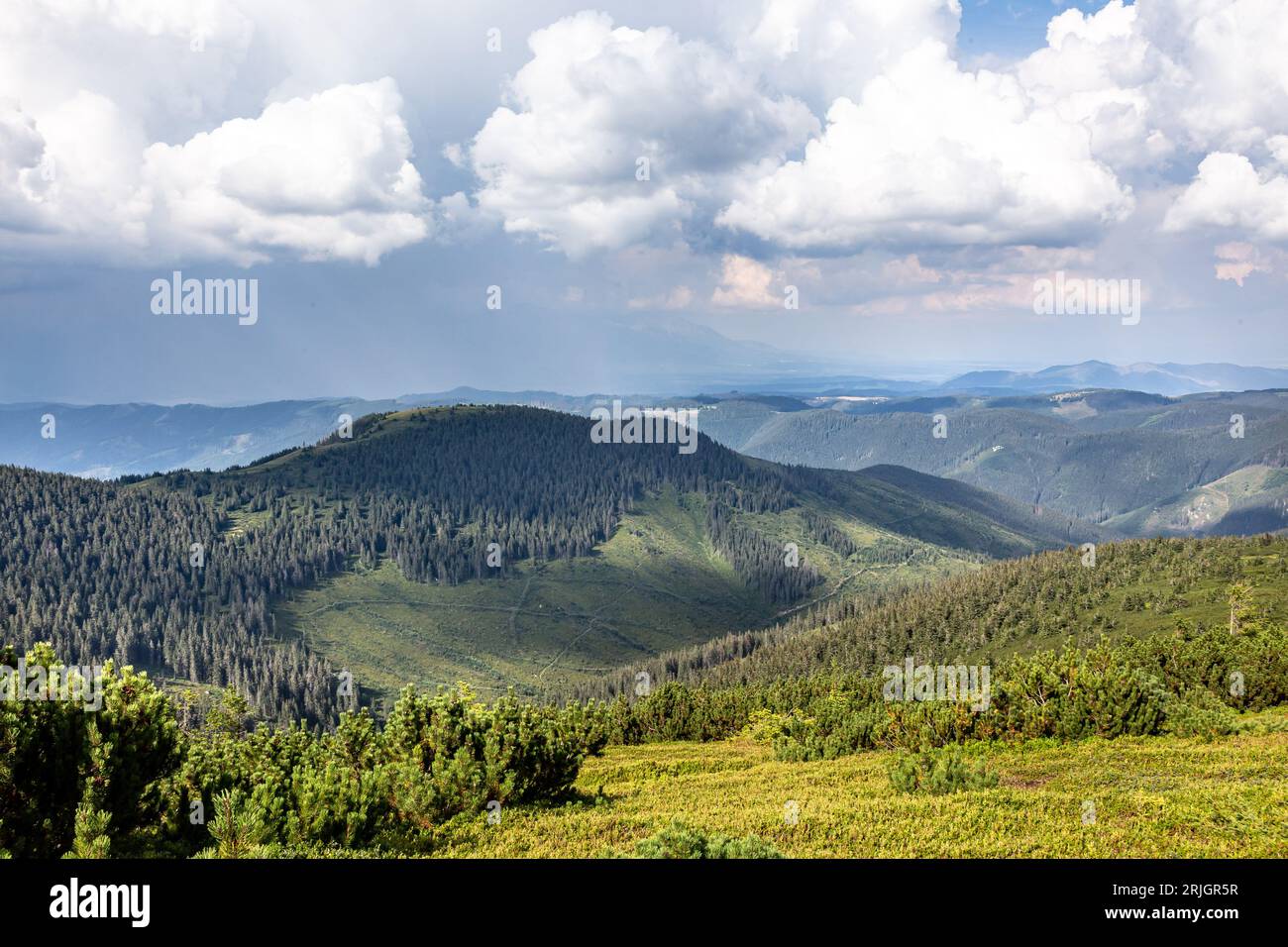 General view on the mountain range of Low Tatra (Nizke Tatry) in ...