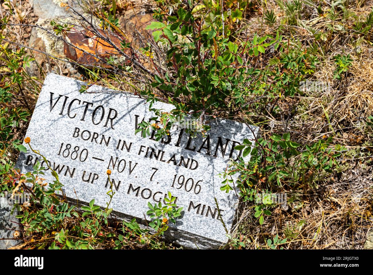 The old headstones at Silverton Hillside Cemetery offer brief epitaphs ...