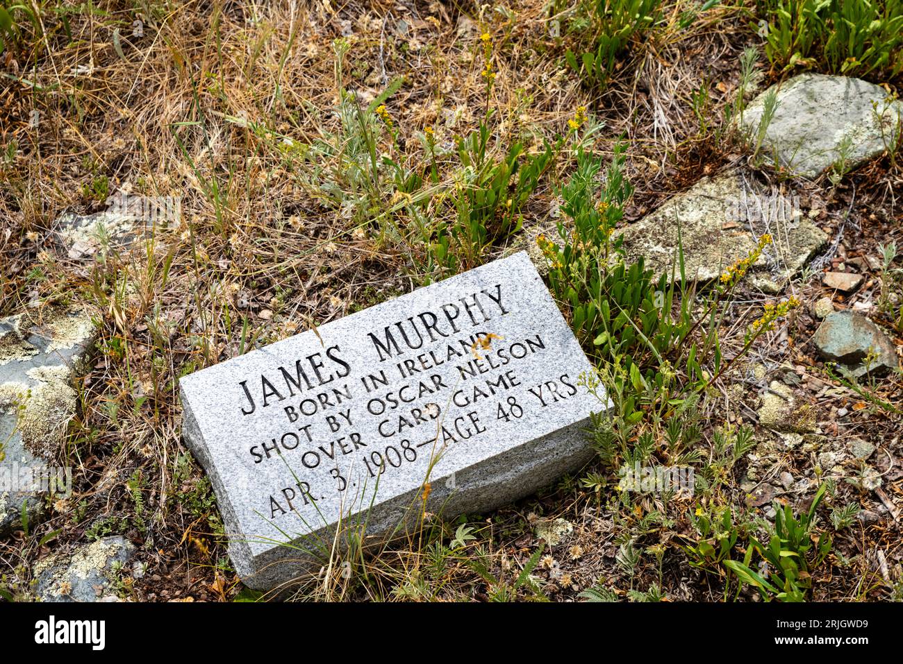 The old headstones at Silverton Hillside Cemetery offer brief epitaphs ...