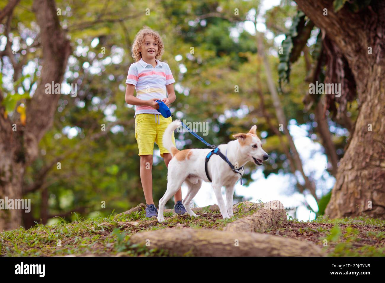Child and dog walk in summer park. Little boy playing with his puppy ...