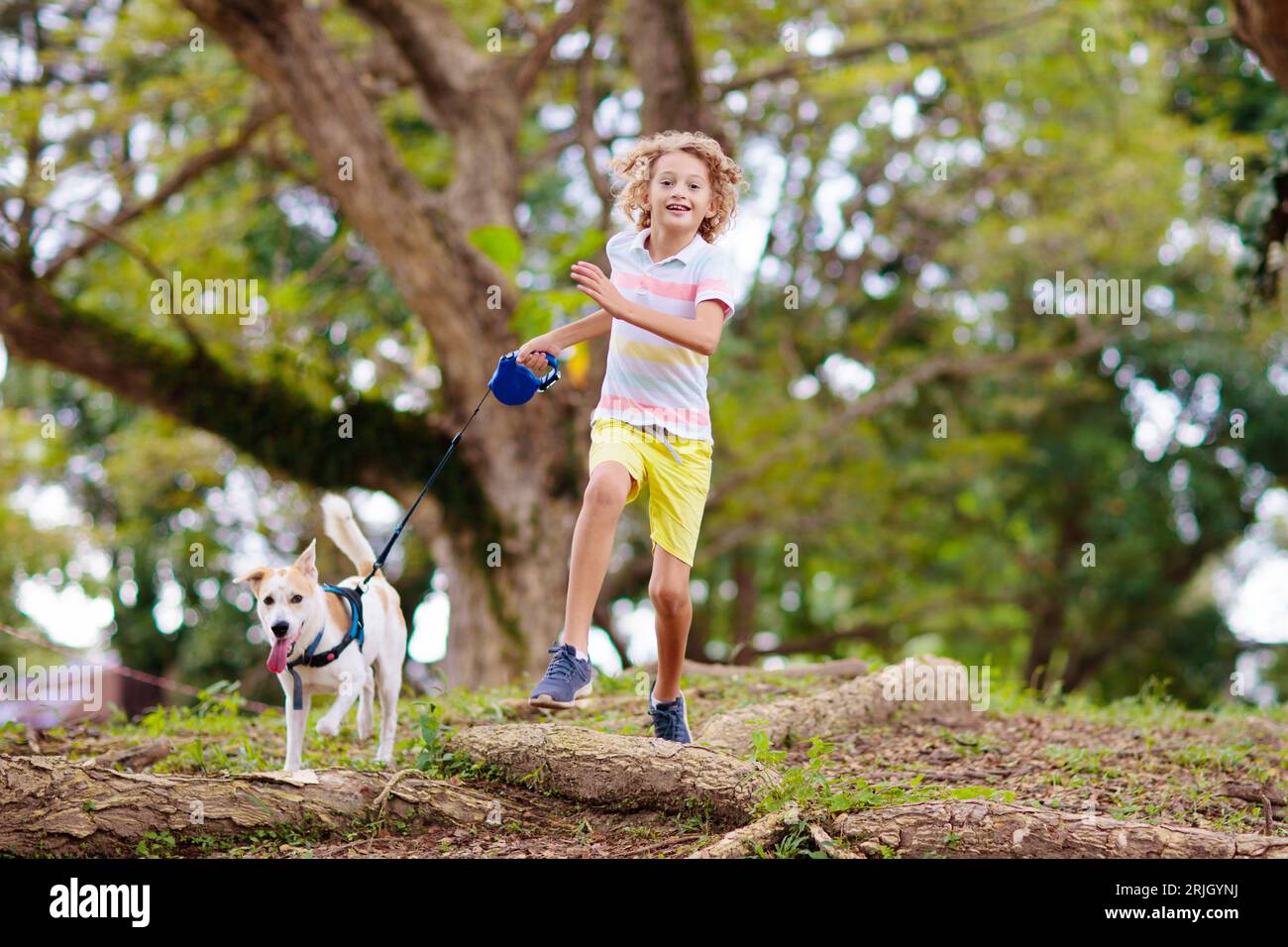 Child and dog walk in summer park. Little boy playing with his puppy ...
