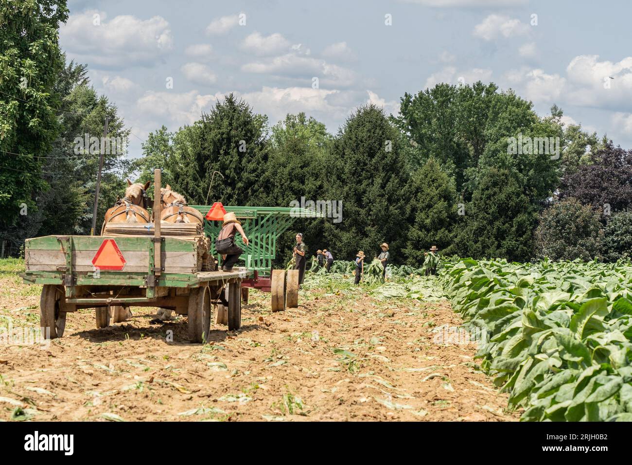 Amish farmers farm people hi-res stock photography and images - Alamy