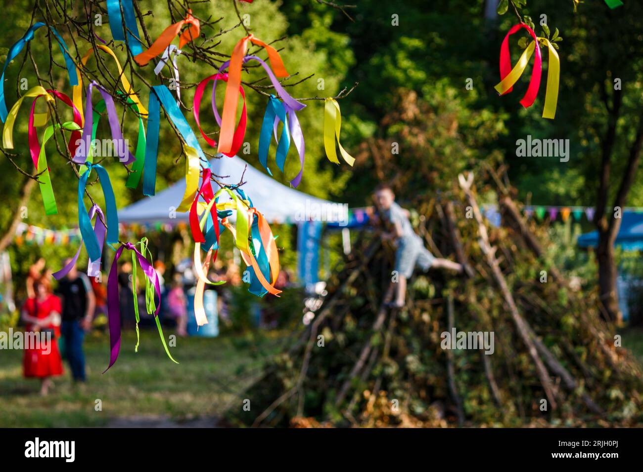 Colored colorful ribbons tied on the branches of a tree in honor of the ...