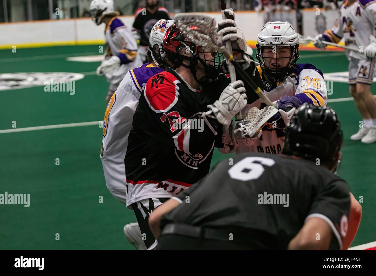 Bill harris arena hi-res stock photography and images - Alamy